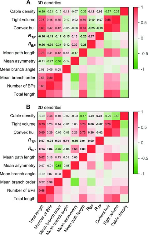 correlation matrix between r values and other branching statistics a my xxx hot girl
