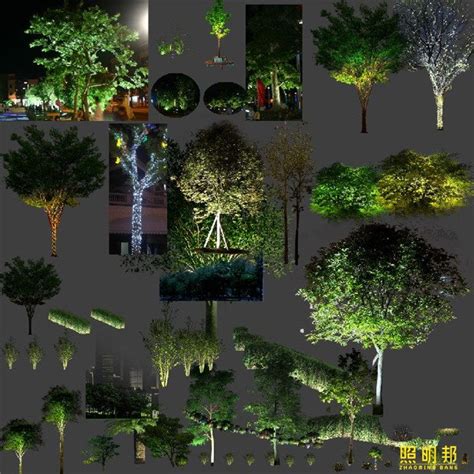 30GLED夜景照明 灯光亮化设计素材库之亮化树木素材大全 照明邦刘滔博客 LED景观照明亮化灯光工程设计软件教程培训网