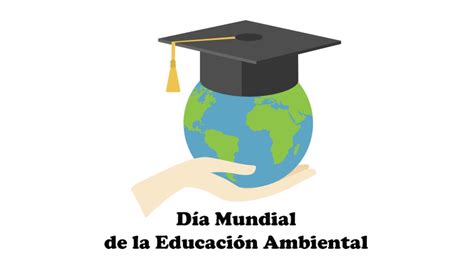 Por qué es importante la educación ambiental HAZTE ECO