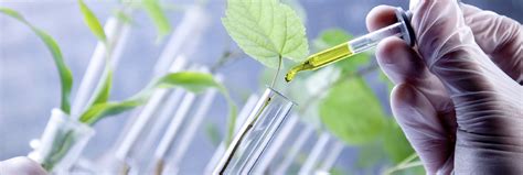 Ingeniería en Biotecnología