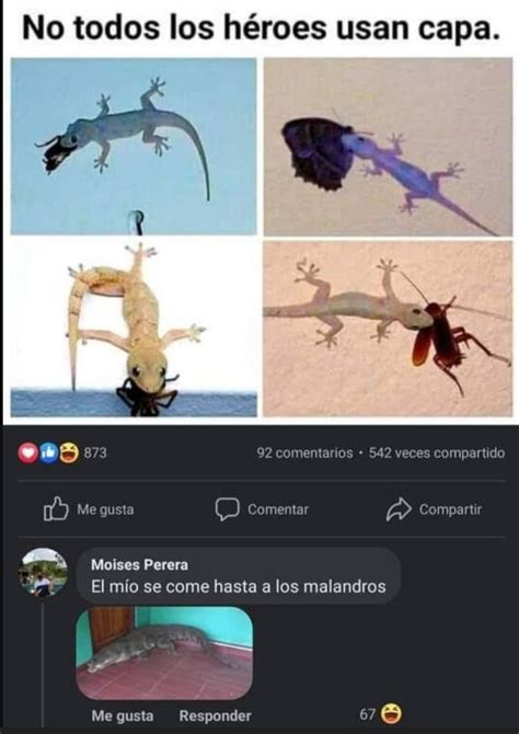 Novagod Meme Subido Por Cabradamus Memedroid