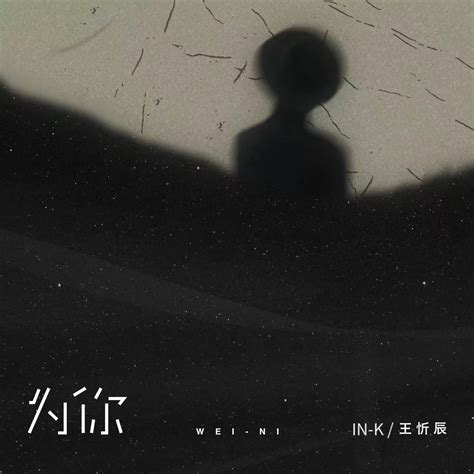 为你 王忻辰 高音质在线试听 为你歌词 歌曲下载 酷狗音乐
