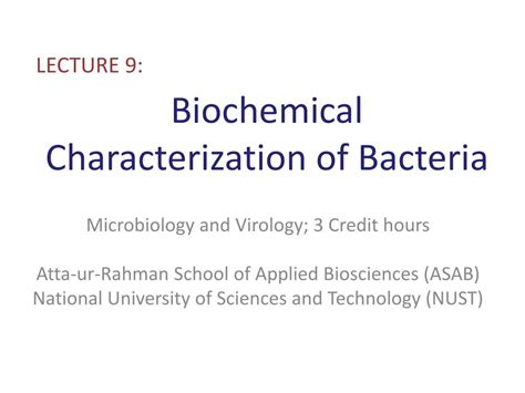 PPT Biochemical Characterization Of Bacteria PowerPoint Presentation