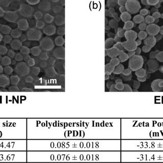 Characterization Of Longacting LA Implant Formulations A Implant