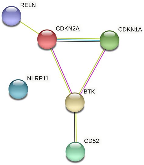 The Ppi Network Of Selected Common Degs Constructed By String Database