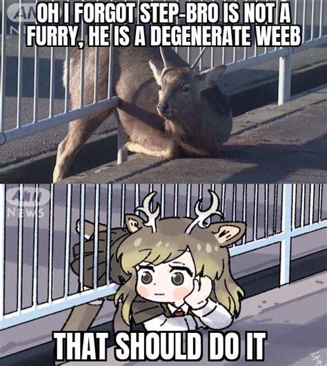 Step Bro Im Stuck Please Help Rgoodanimemes