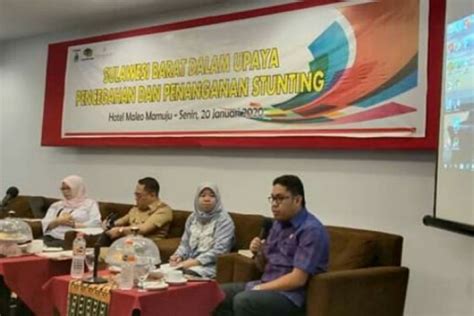 DPRD Kasus Stunting Sulbar Tertinggi Kedua Di Indonesia ANTARA News