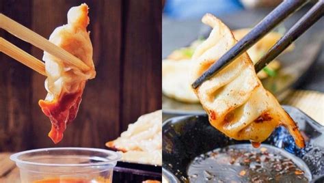 Serupa Tapi Tak Sama Ini Perbedaan Antara Koutie Dan Gyoza