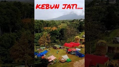 Kebun Jati Pancawati Camping Ground Shorts YouTube