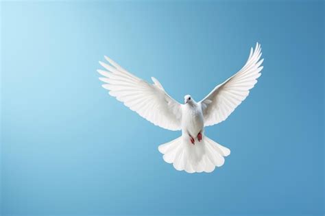 Paloma Blanca Volando En El Cielo Azul Foto Premium