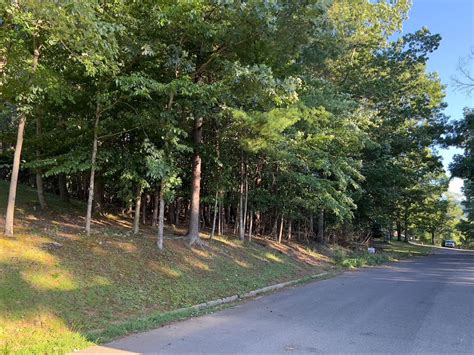 Laurel Ave 4 5 Buena Vista VA 24416 MLS 647150 Trulia