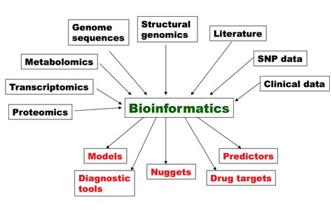 flowchart of the bioinformatic data processing flowchart describing the sexiezpix web porn