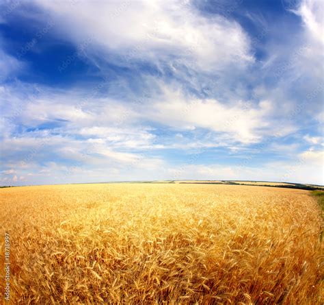 Plakat natura pejzaż lato krajobraz roślina Dekowizja pl