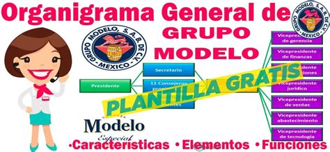 Total Imagen Organigrama Corporativo Grupo Modelo Abzlocal Mx