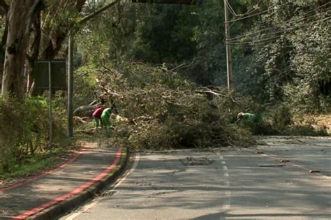 Queda De Rvores Bloqueia Avenida De Curitiba Temporariamente