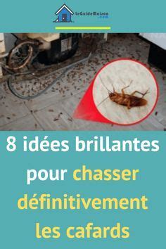 Voici les brillantes idées et astuces pour se débarrasser