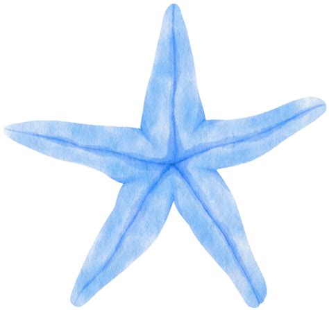 Ilustra O De Aquarela Estrela Do Mar Ou Estrelas Do Mar Png