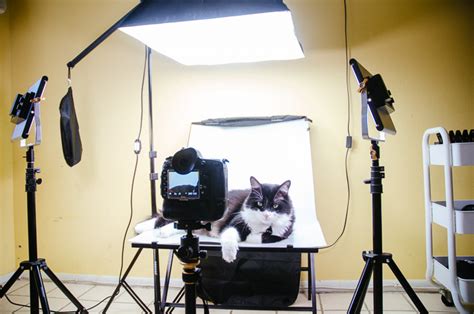 10 consejos para crear tu estudio fotográfico casero
