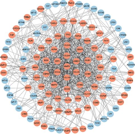 protein protein interaction network constructed with overlapping 356 download scientific