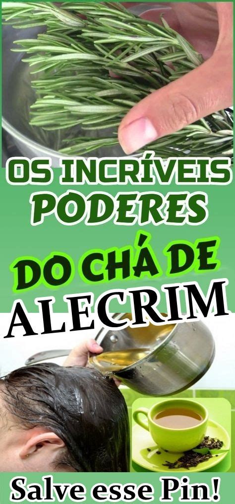 Os Benefícios do Chá de Alecrim Chá de alecrim Dicas de saúde Alecrim