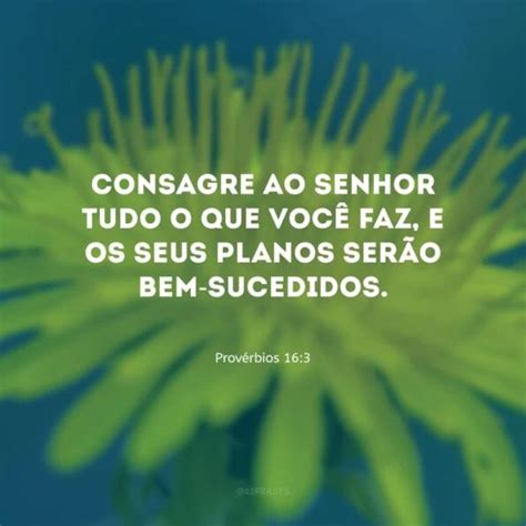 70 frases bíblicas de agradecimento que vão tocar sua alma
