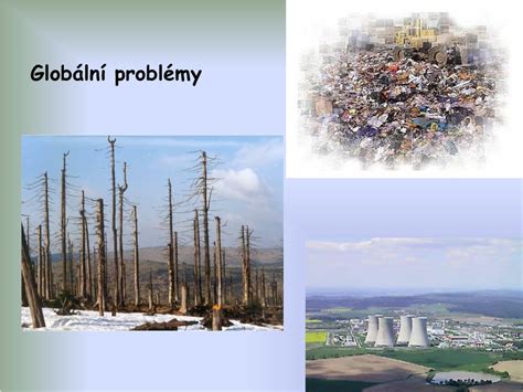 PPT Základy biologie OP3MK ZABI PowerPoint Presentation free