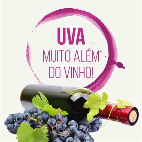 Os benefícios e as propriedades da uva para a saúde e beleza Peter Paiva