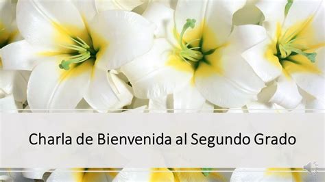Charla De Bienvenida Segundo Grado Escuela De Pastoral YouTube