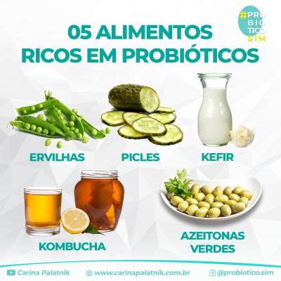 Dónde se encuentran los probióticos naturales