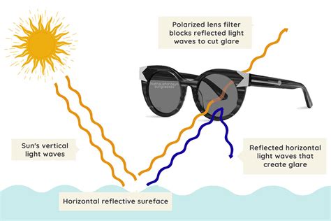 Everything You Need To Know About Polarized Lenses