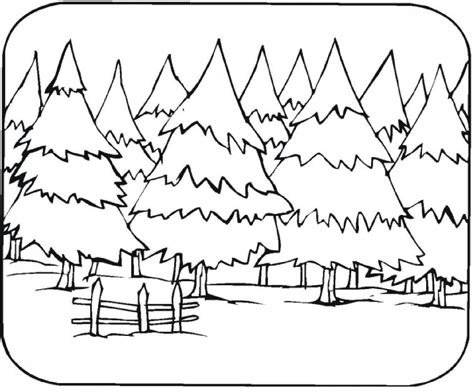Ausmalbilder Wald Kostenlos Malvorlagen Zum Ausdrucken