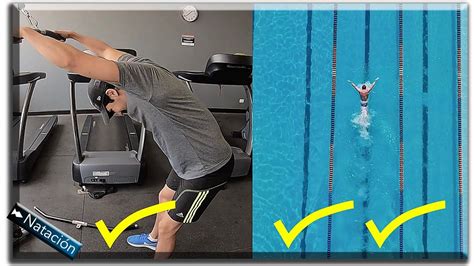25 ejercicios en el gimnasio para natacion Natación Entrenamiento