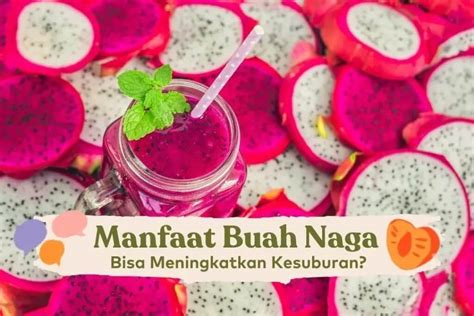5 Manfaat Buah Naga Bisa Untuk Kesuburan Bocah Indonesia