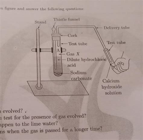 I Which Gas Is Evolved Ii How Will You Test For The Presence Of Gas
