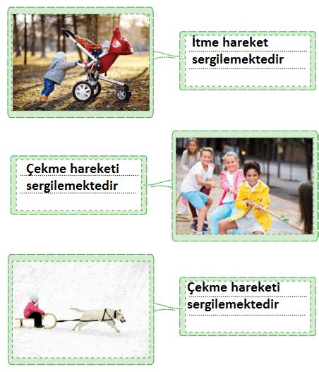 3 Sınıf Fen Bilimleri Ders Kitabı 55 59 Sayfa Cevapları Anka Yayınevi