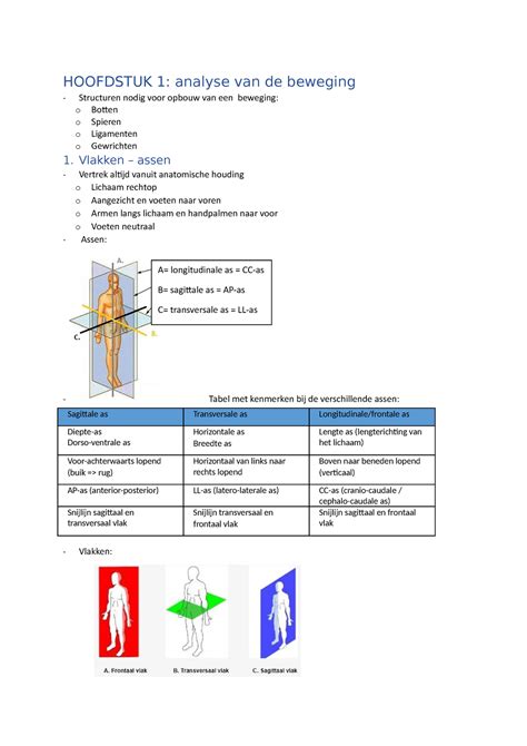 Samenvatting Analyseren Vd Beweging HOOFDSTUK 1 Analyse Van De