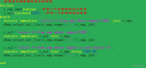 plsql之动态sql与异常 plsql 执行动态sql csdn博客