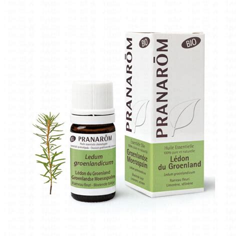 Pranarom Huile Essentielle Ledon Du Groenland Bio Flacon Ml Pranar M