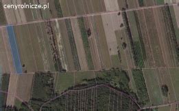 Bezpłatne Ogłoszenia Rolnicze Ziemia rolna Ziemia rolna na sprzedaż