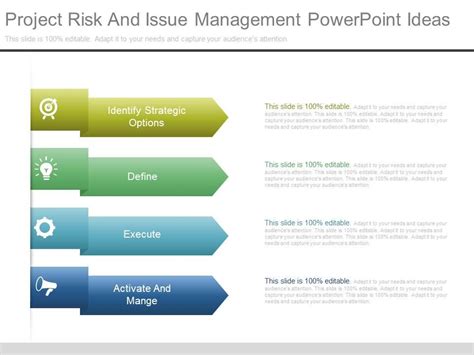 Project Risk And Issue Management Powerpoint Ideas PowerPoint