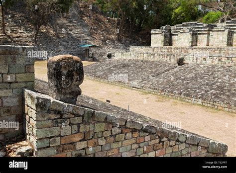 El Juego De Pelota O Pelota Con El Loro Cabeza Metas Las Ruinas Mayas