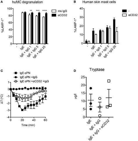 Fcγ receptor II dependent inhibition of human mast cells and