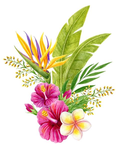 Ramo Tropical Pintura Acuarela De Dibujos A Mano Con Flores De