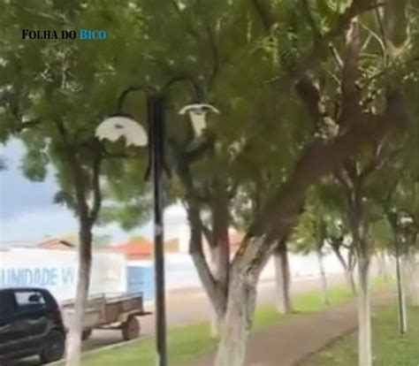 ARAGUATINS Vândalos depredam parque linear da Bartolomeu Bueno e