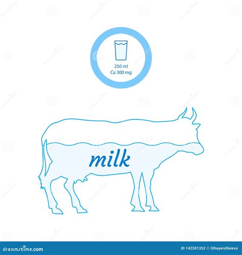 Infographics Milk Production Stages Of Milk Production From Co Vector