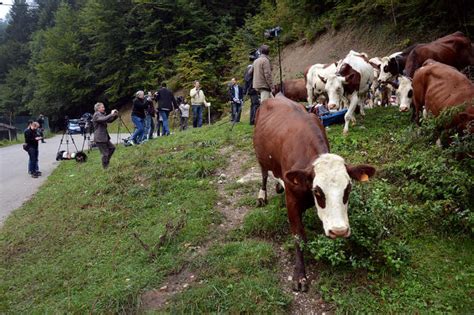 EN IMAGES Tuerie de Chevaline huit ans de mystère