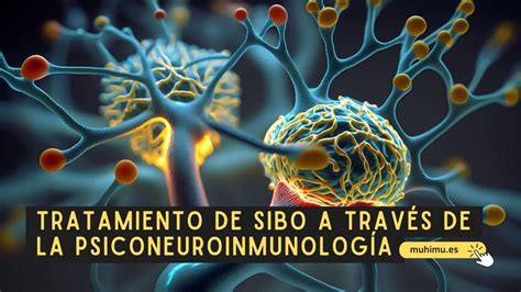 Tratamiento de SIBO a través de la Psiconeuroinmunología Explorando la