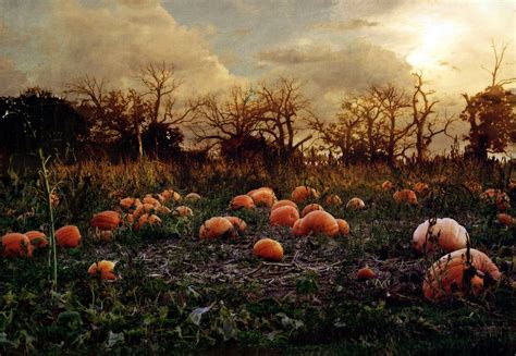 Halloween Autumn Wallpapers Wallpaper Cave