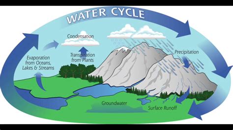 5th Grade Water Cycle Diagram