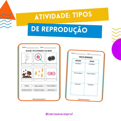 Atividade Tipos de reprodução Loja atividades pedagógicas Clarissa